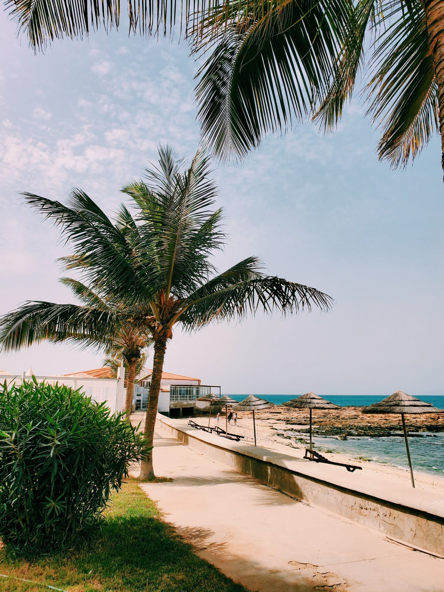 Kap Verde: En guide til de bedste naturoplevelser - Kap Verde Eventyr